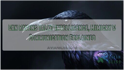 Can Ravens Talk? Intelligence, Mimicry & Communication Explained
