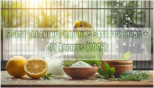 6 Best Cleaning Products Safe for Birds + DIY Recipes (2026)