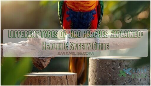 Different Types of Bird Perches Explained: Health & Safety Guide