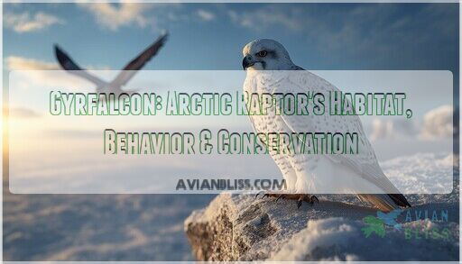 Gyrfalcon: Arctic Raptor's Habitat, Behavior & Conservation