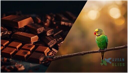 Can Birds Eat Chocolate? Toxicity, Symptoms & Emergency Steps