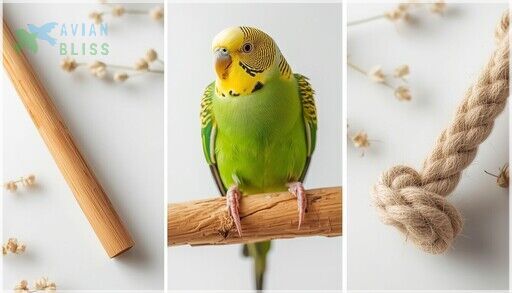 Best Bird Perches for Parakeets: Reviews, Benefits & Setup Tips