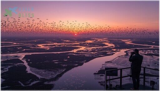 Best Bird Migration Tours: Destinations, Seasons & Expert Picks