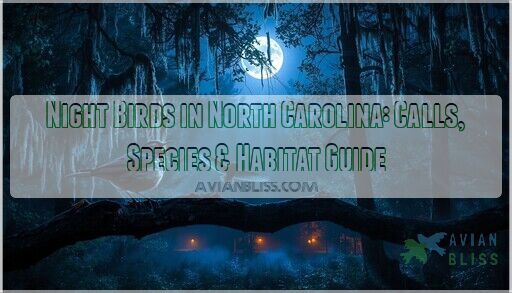 Night Birds in North Carolina: Calls, Species & Habitat Guide