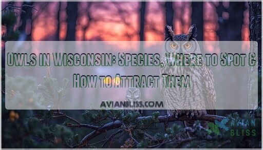 Owls in Wisconsin: Species, Where to Spot & How to Attract Them