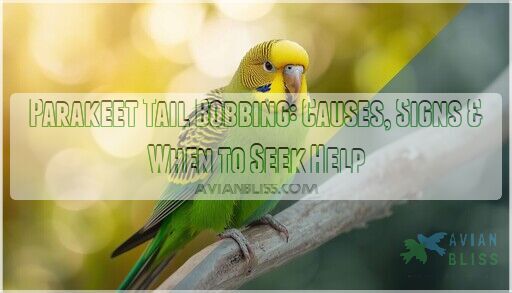 Parakeet Tail Bobbing: Causes, Signs & When to Seek Help