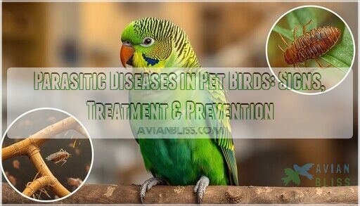 Parasitic Diseases in Pet Birds: Signs, Treatment & Prevention