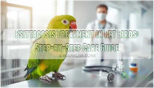 Psittacosis Treatment in Pet Birds: Step-by-Step Care Guide