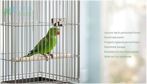 What Size Cage Does My Bird Need? Complete Species Guide