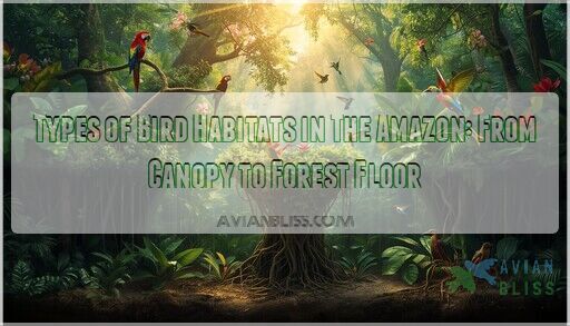 Types of Bird Habitats in The Amazon: From Canopy to Forest Floor