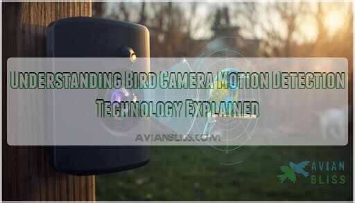 Understanding Bird Camera Motion Detection Technology Explained