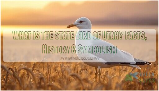 What is The State Bird of Utah? Facts, History & Symbolism