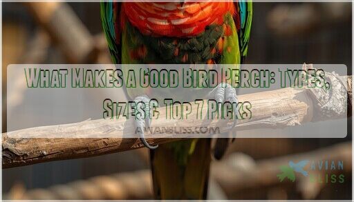 What Makes a Good Bird Perch: Types, Sizes & Top 7 Picks