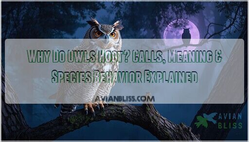 Why Do Owls Hoot? Calls, Meaning & Species Behavior Explained