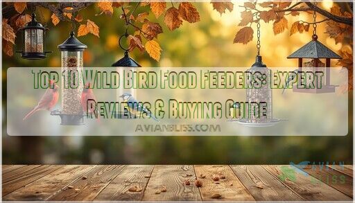 Top 10 Wild Bird Food Feeders: Expert Reviews & Buying Guide