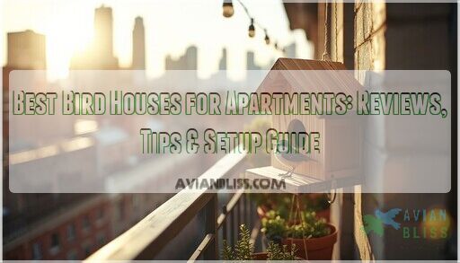 Best Bird Houses for Apartments: Reviews, Tips & Setup Guide