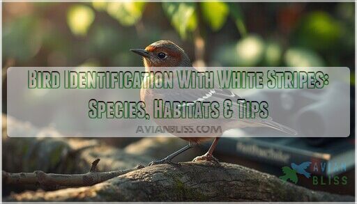 Bird Identification With White Stripes: Species, Habitats & Tips