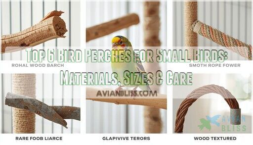 Top 6 Bird Perches for Small Birds: Materials, Sizes & Care