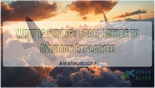 What is Flying? From Nature to Aviation Explained
