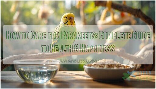 How to Care for Parakeets: Complete Guide to Health & Happiness