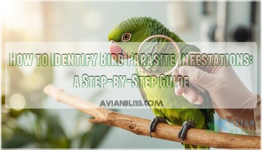 How to Identify Bird Parasite Infestations: a Step-by-Step Guide