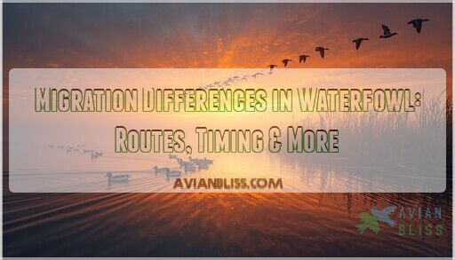 Migration Differences in Waterfowl: Routes, Timing & More