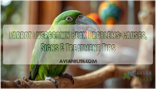 Parrot Overgrown Beak Problems: Causes, Signs & Treatment Tips