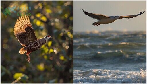 Understanding Bird Flight Patterns: Anatomy, Forces & Adaptations