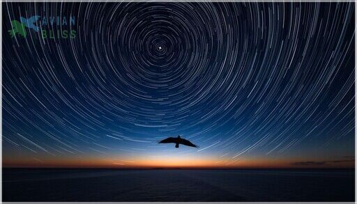 How Birds Use Celestial Cues for Migration: Science Explained
