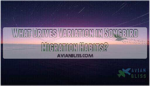 What Drives Variation in Songbird Migration Habits?