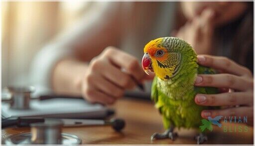 Conure Head Bobbing: Meaning, Health Signs & Expert Care Tips