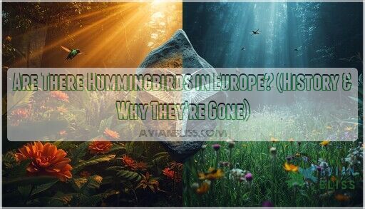 Are There Hummingbirds in Europe? (History & Why They're Gone)