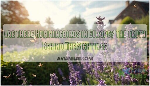 Are There Hummingbirds in Europe? (History & Why They're Gone)
