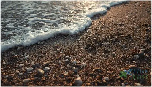 Beaches and Shorelines: Coastal Landforms, Geology & More