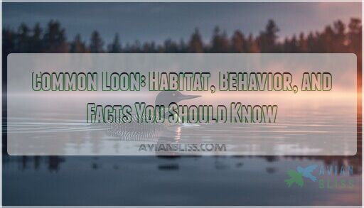 Common Loon: Habitat, Behavior, and Facts You Should Know
