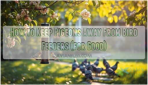 How to Keep Pigeons Away From Bird Feeders (for Good)