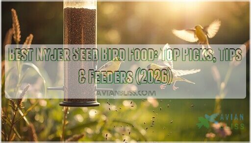 Best Nyjer Seed Bird Food: Top Picks, Tips & Feeders (2026)