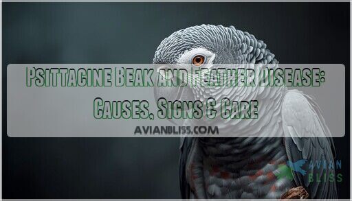 Psittacine Beak and Feather Disease: Causes, Signs & Care
