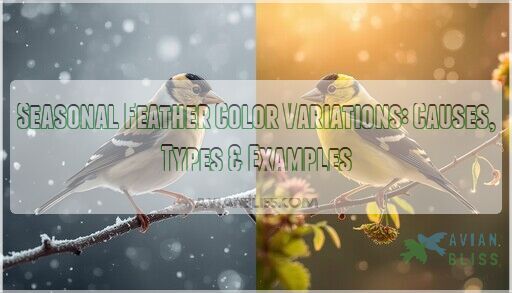 Seasonal Feather Color Variations: Causes, Types & Examples