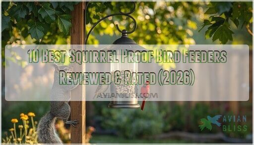 10 Best Squirrel Proof Bird Feeders Reviewed & Rated (2026)