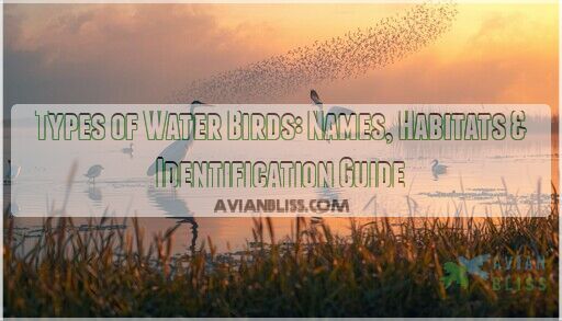 Water Bird Species Information: Types, Habitats & Conservation