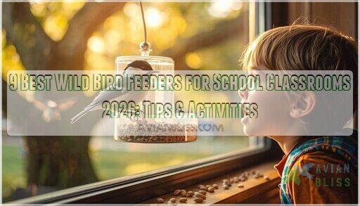 9 Best Wild Bird Feeders for School Classrooms 2026: Tips & Activities