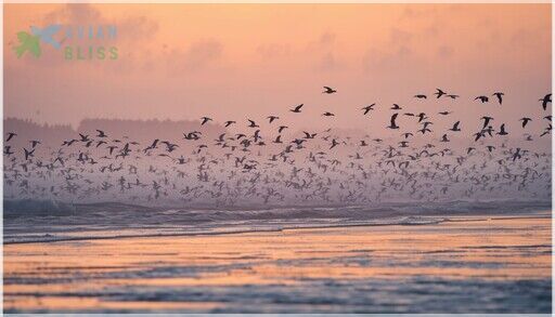 Long-Billed Curlew: Habitat, Diet, and Conservation Guide
